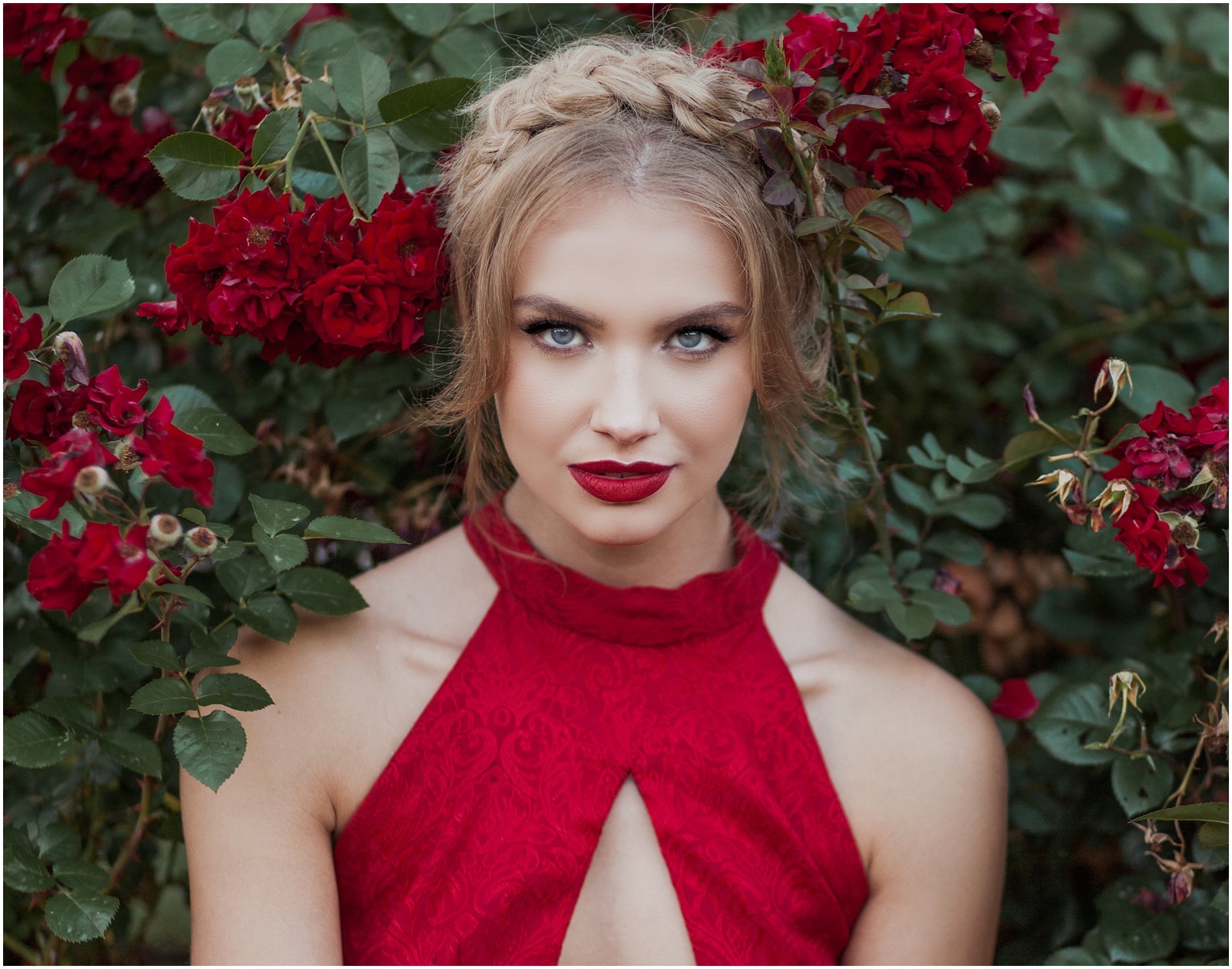 Jahi's Rose Garden Collection - The Howard Brand Blog